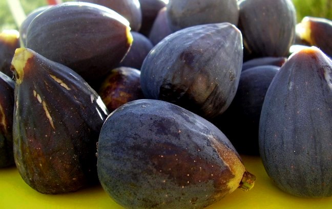 México inicia la exportación de higos frescos a Estados Unidos « HIGOS ...