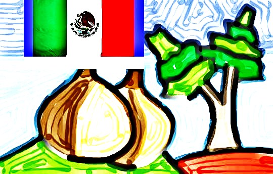 En las próximas semanas se inaugurará el Instituto del Higo en México ...
