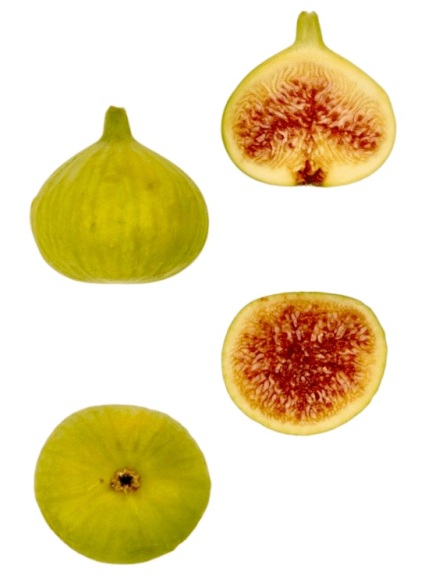 Lo que hace únicos a los higos de la variedad Calimyrna « HIGOS & FIGS